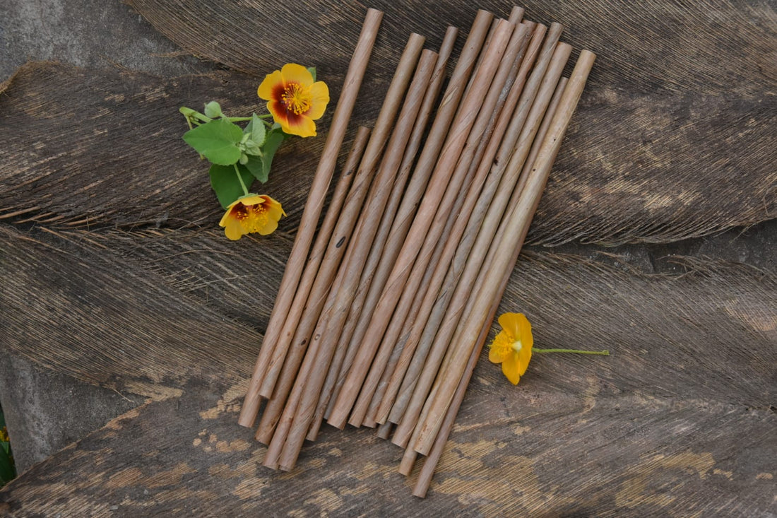 Coconut Leaf Disposable Straws (Pack of 100) – organic-leafware